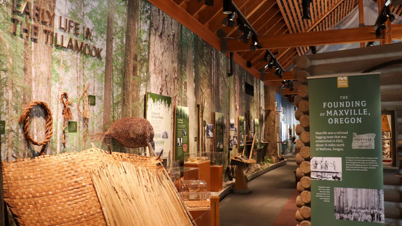 Tillamook Forest Center reopens for tours after three-year closure ...
